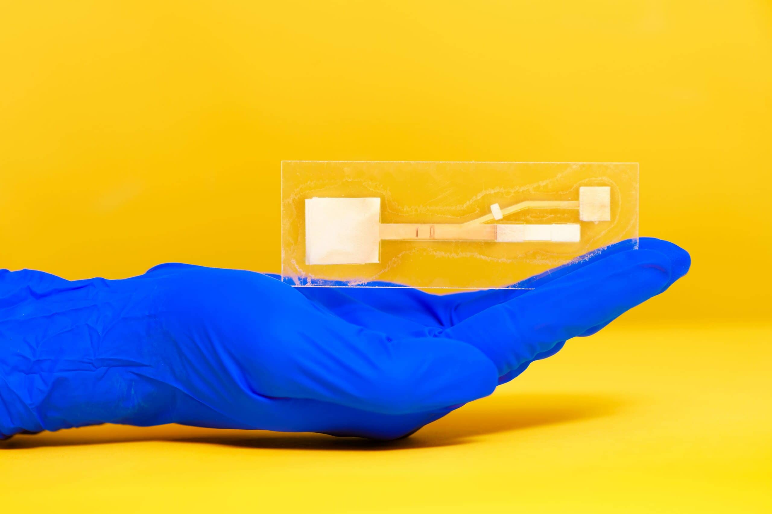 Paper Device Could Enable Portable Coronavirus Detection