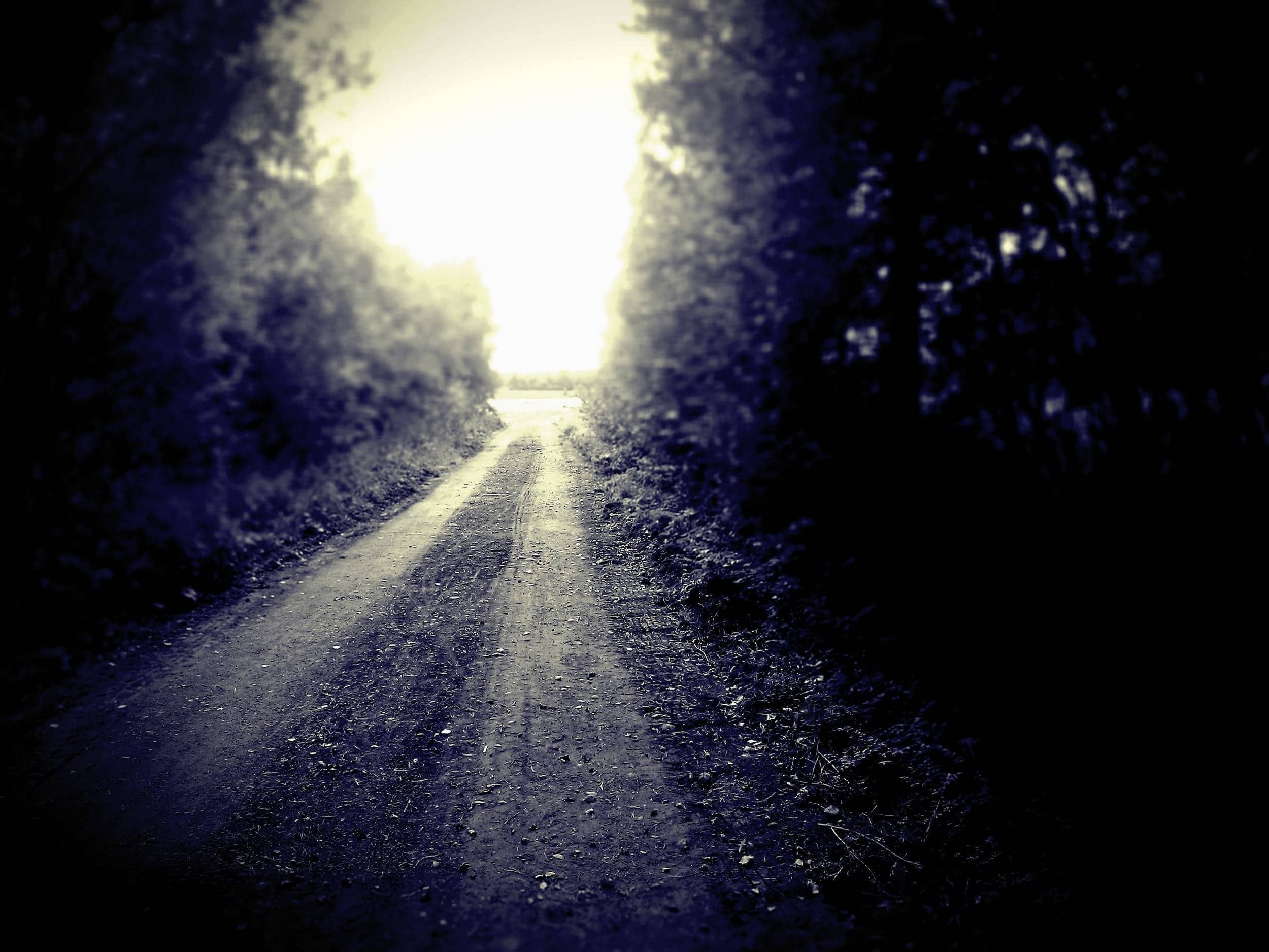 No End in Sight