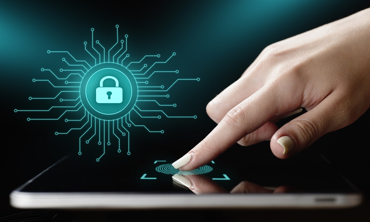 Joint Commission Program Aims to Safeguard Health Data Usage